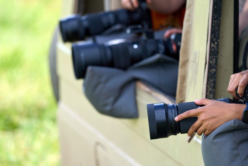 Capturing the Beauty of Bwindi: A Photographer’s Dream Destination ...